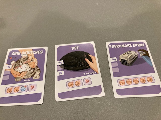 IMG_3103 – coopgestalt